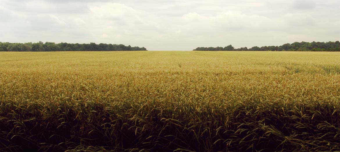 Rovibec Agrisolutions - Expert en automatisation de l'alimentation du ...